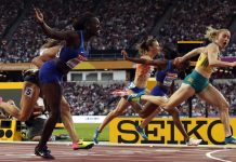 Interview with Marathoner & Run Beyond Project founder David Criniti ...